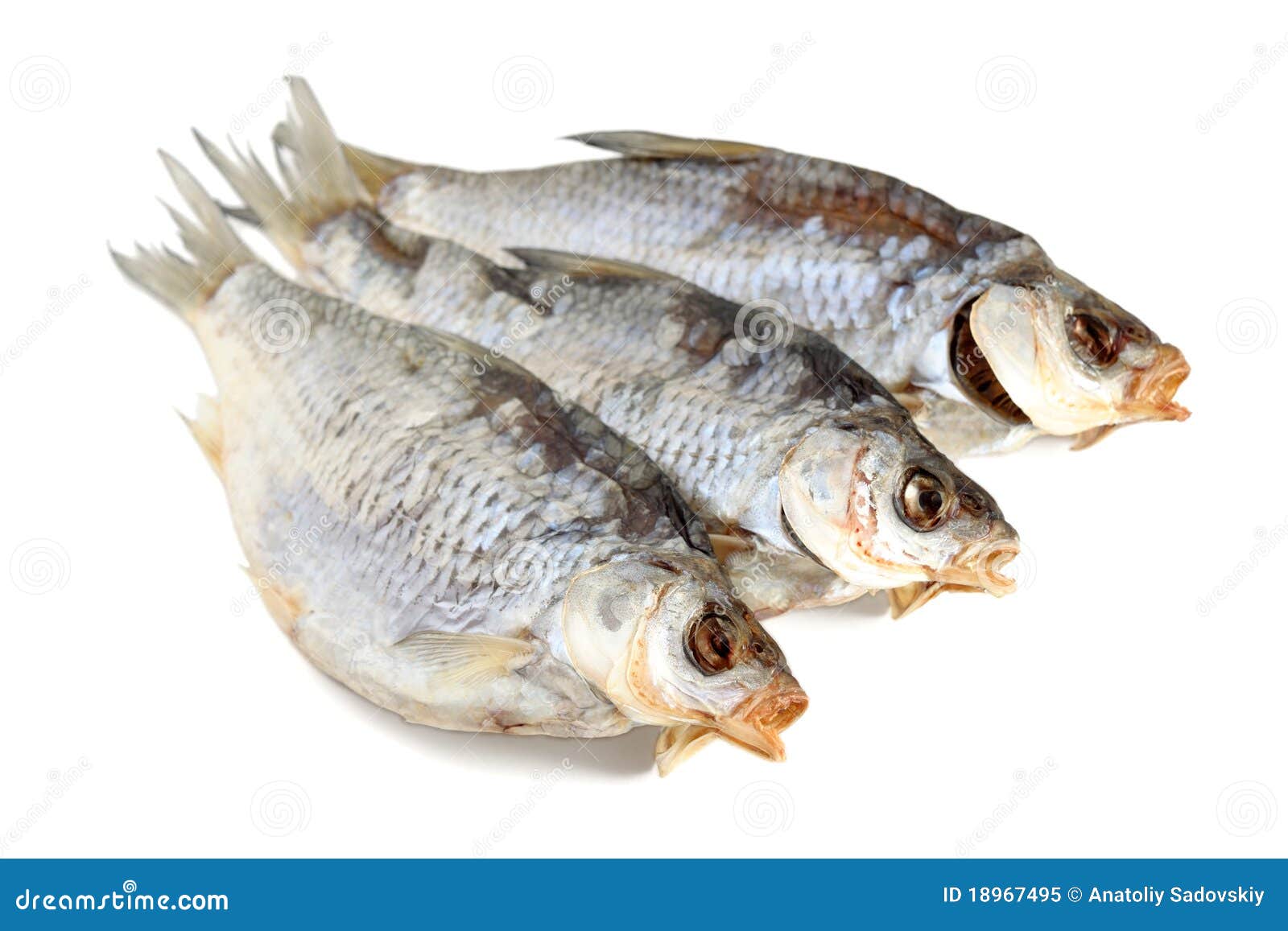 Dried Fish Royalty Free Stock Photo - Image: 18967495