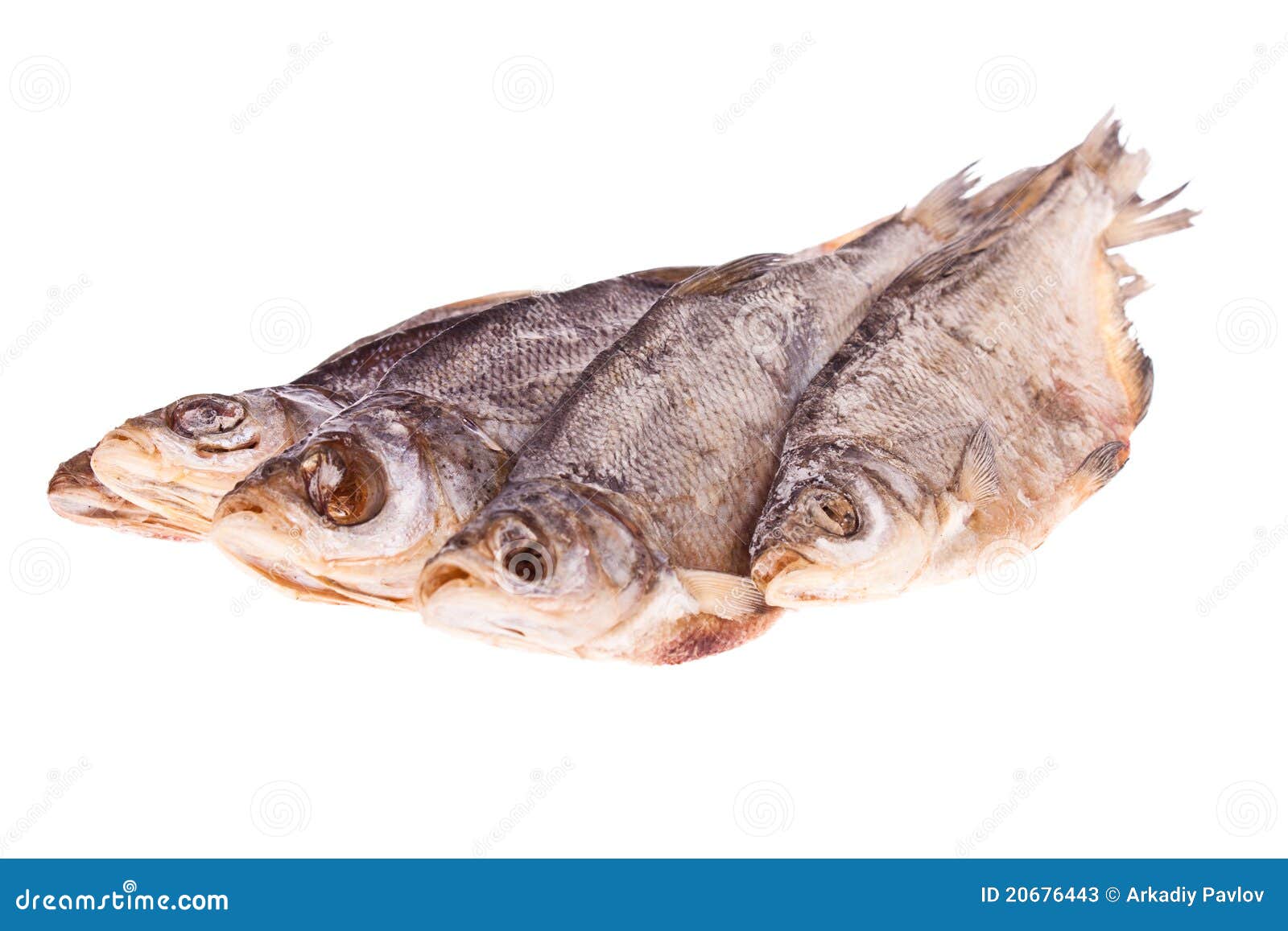 Dried fish stock image. Image of closeup, macro, meat - 20676443