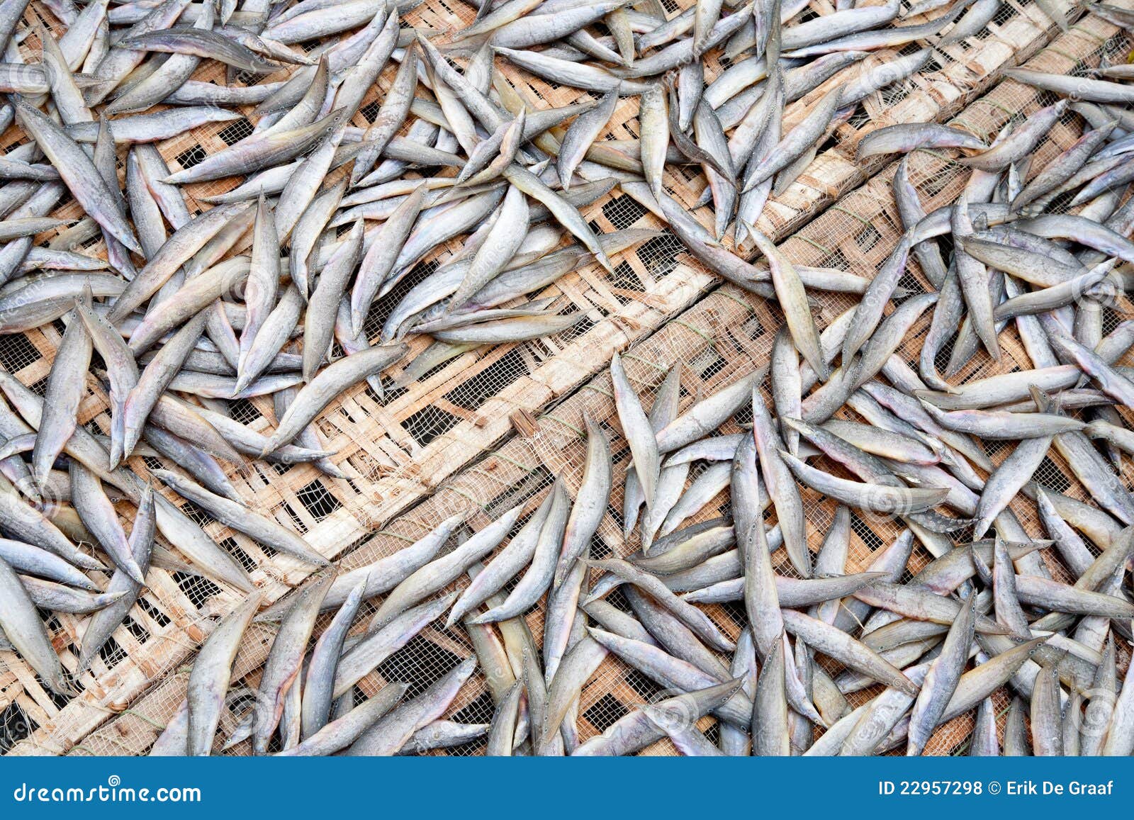 Dried fish stock photo. Image of catch, food, silver - 22957298