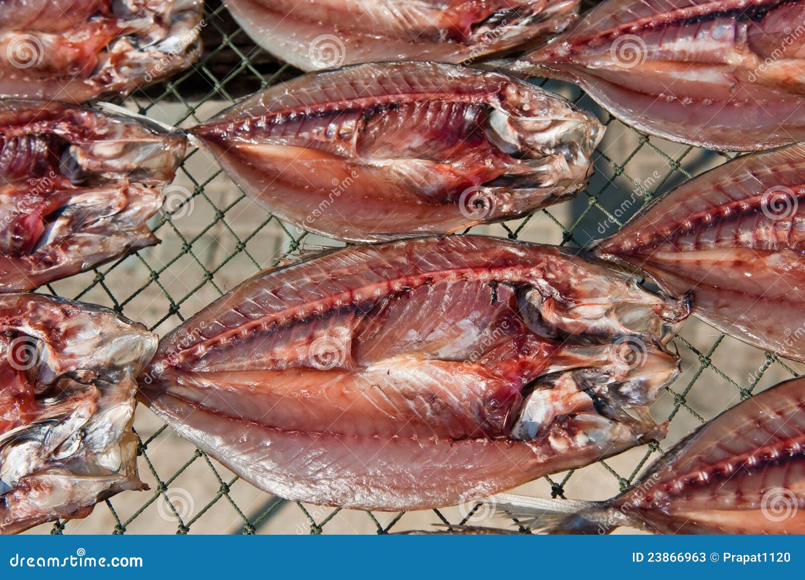 Dried fish. stock image. Image of healthy, protein, eating - 23866963