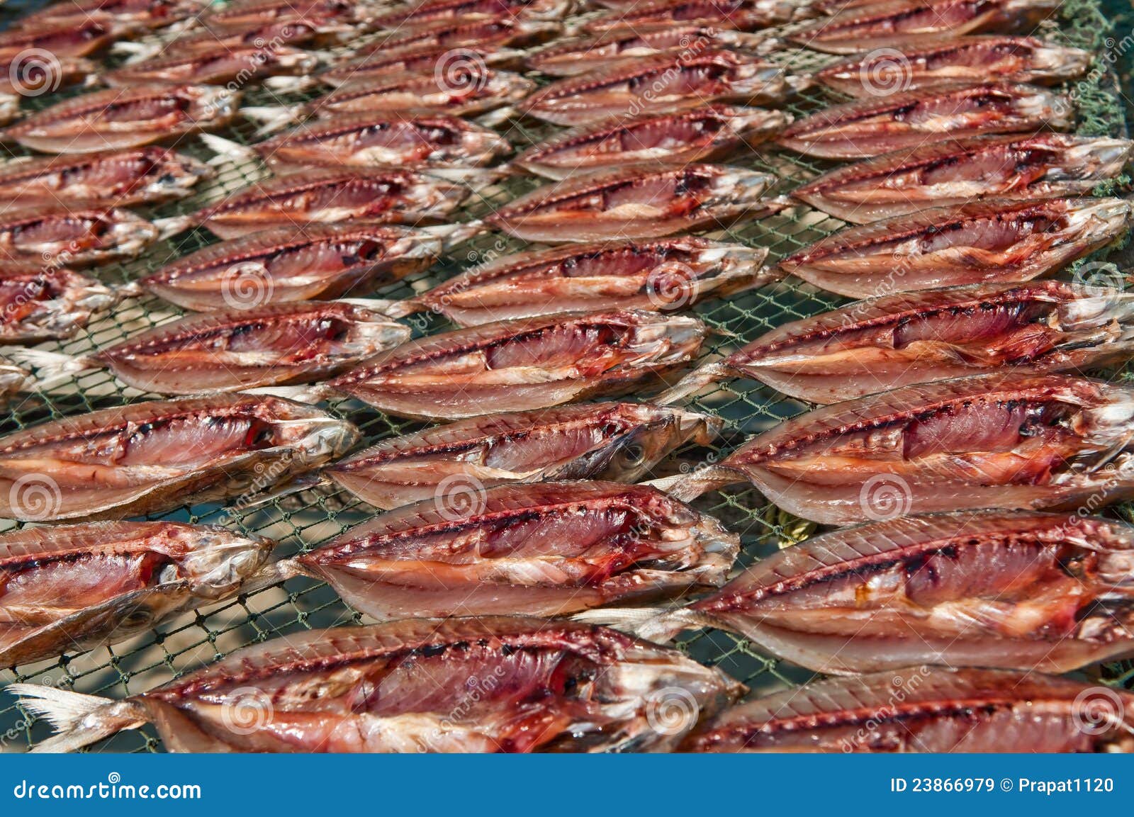 Dried fish. stock image. Image of preserved, fillet, food - 23866979