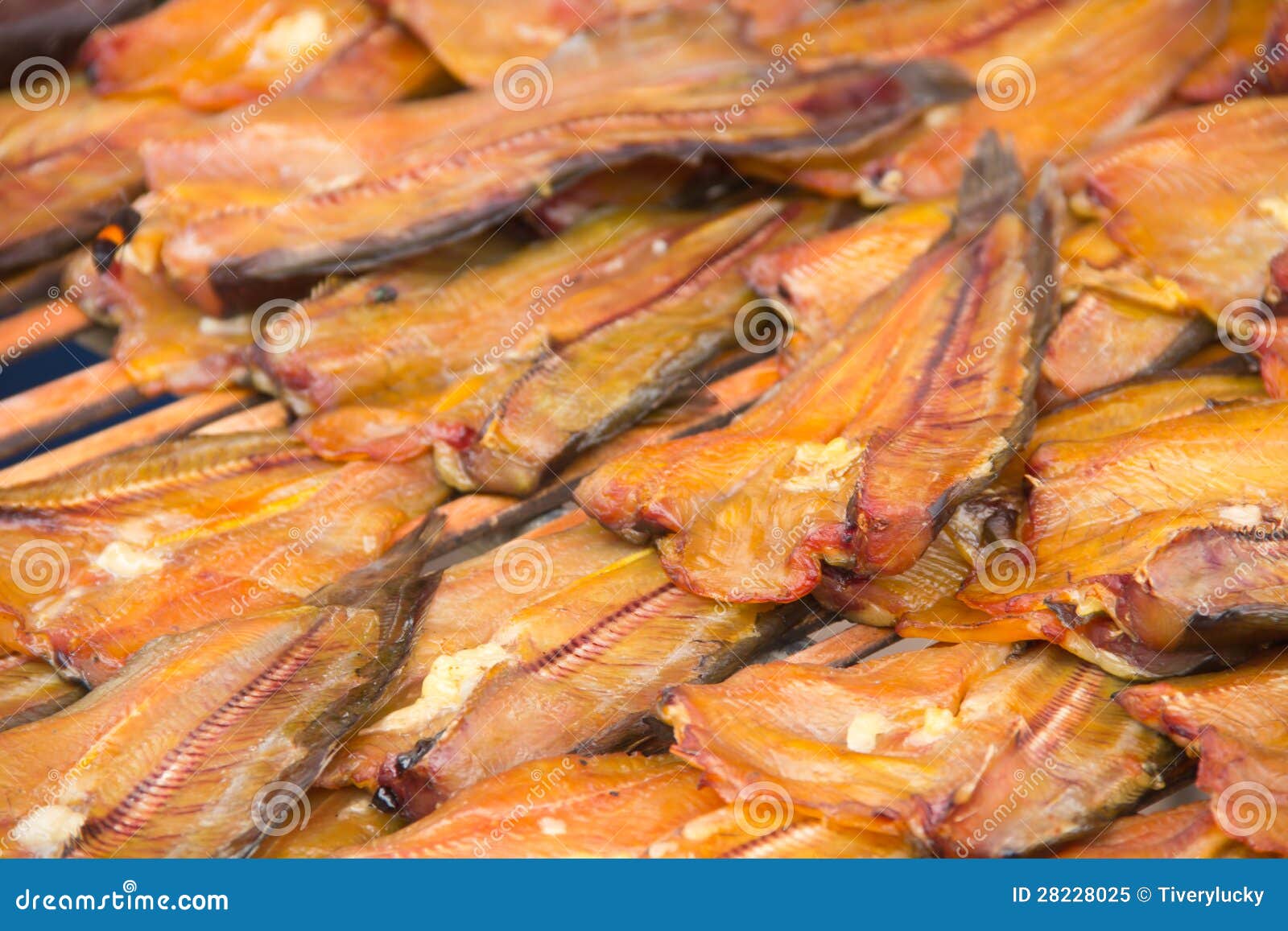 Dried fish stock image. Image of gourami, meat, fishes - 28228025