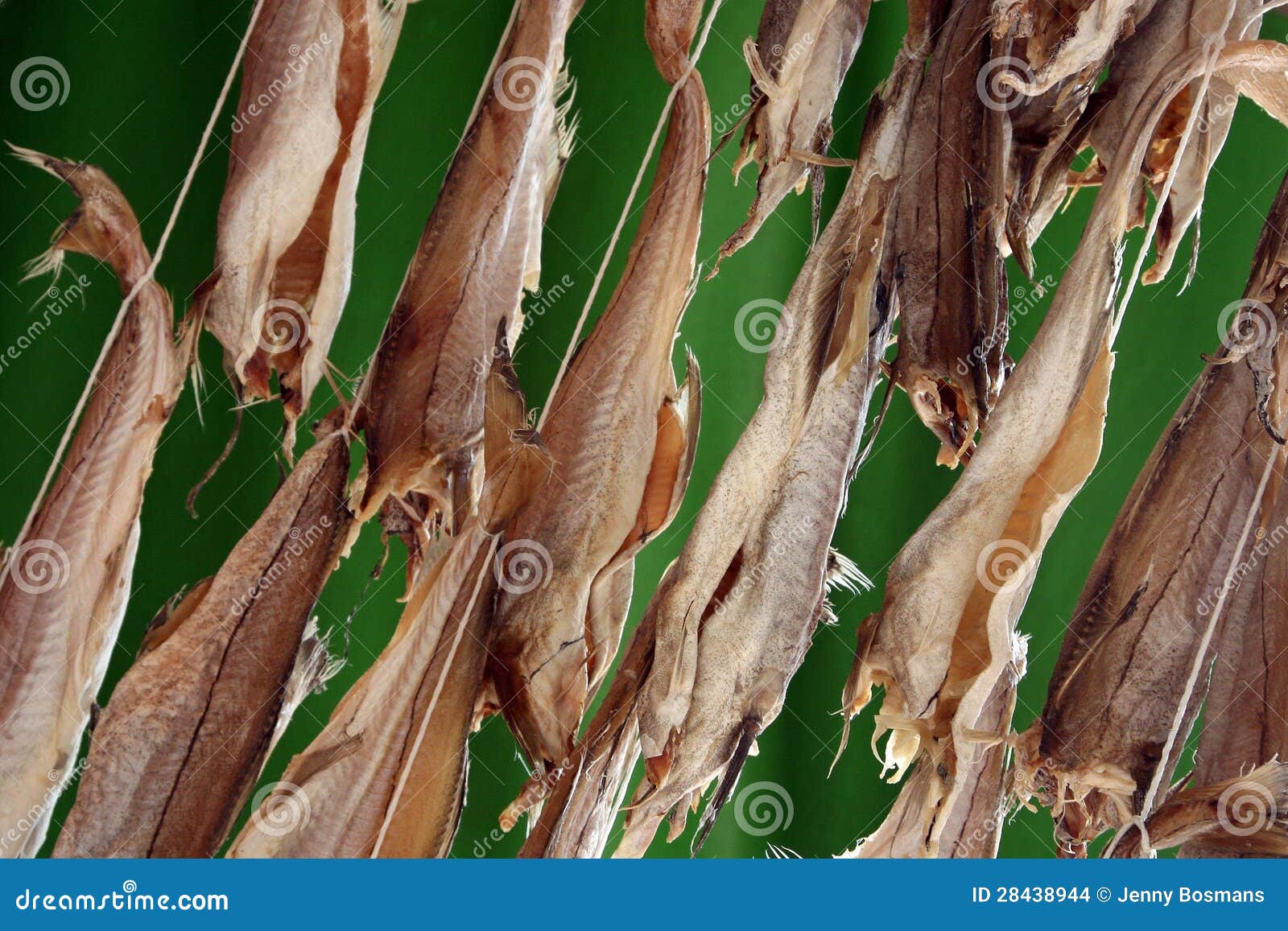 Dried fish stock photo. Image of food, cleaned, marine - 28438944