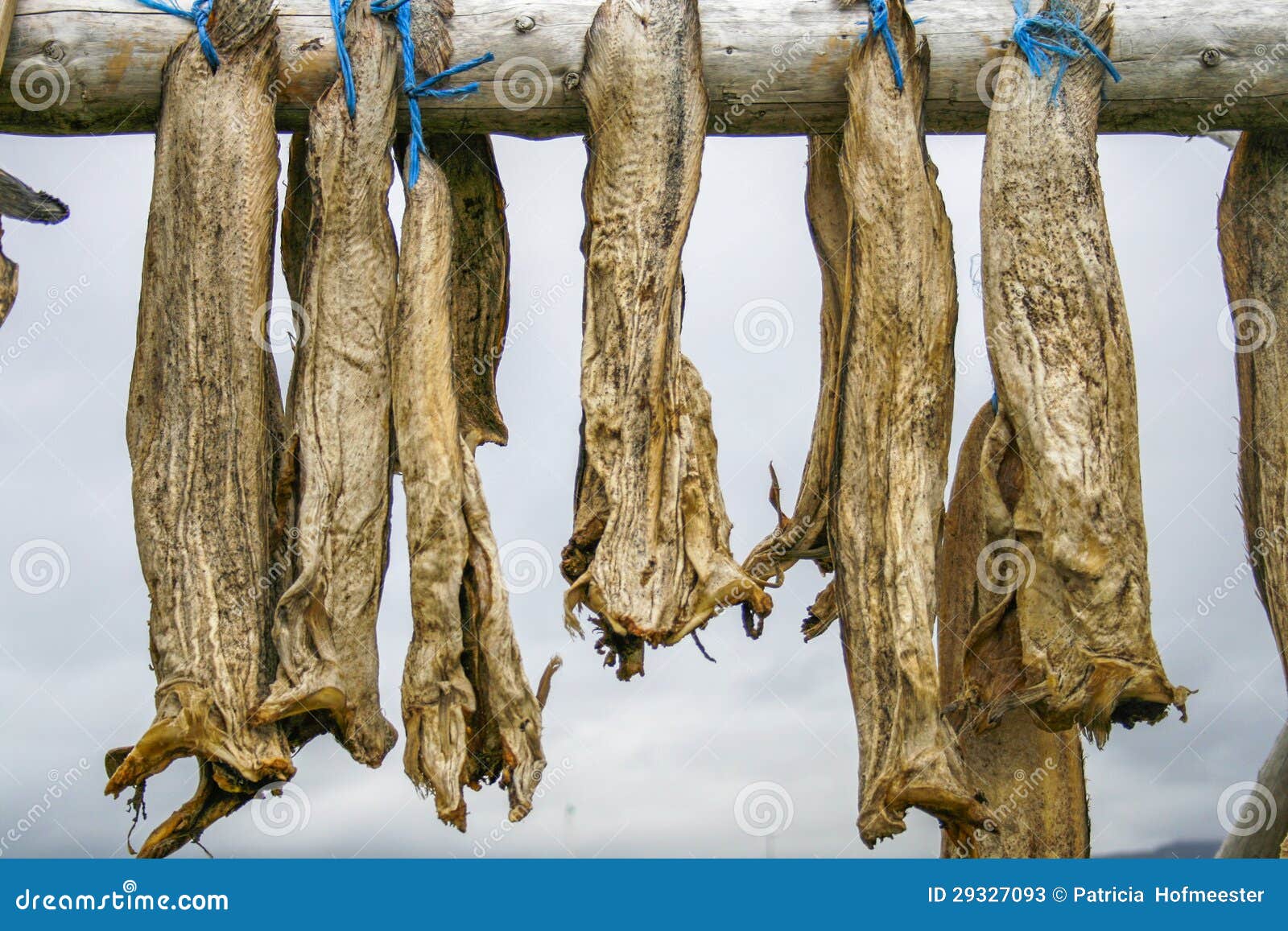 Dried fish stock image. Image of fresh, monkfish, uncooked - 29327093