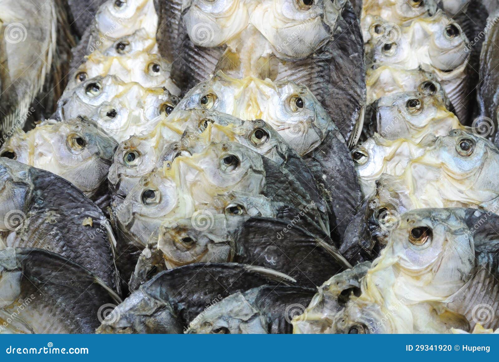 Dried fish stock photo. Image of hanging, culture, delicious - 29341920