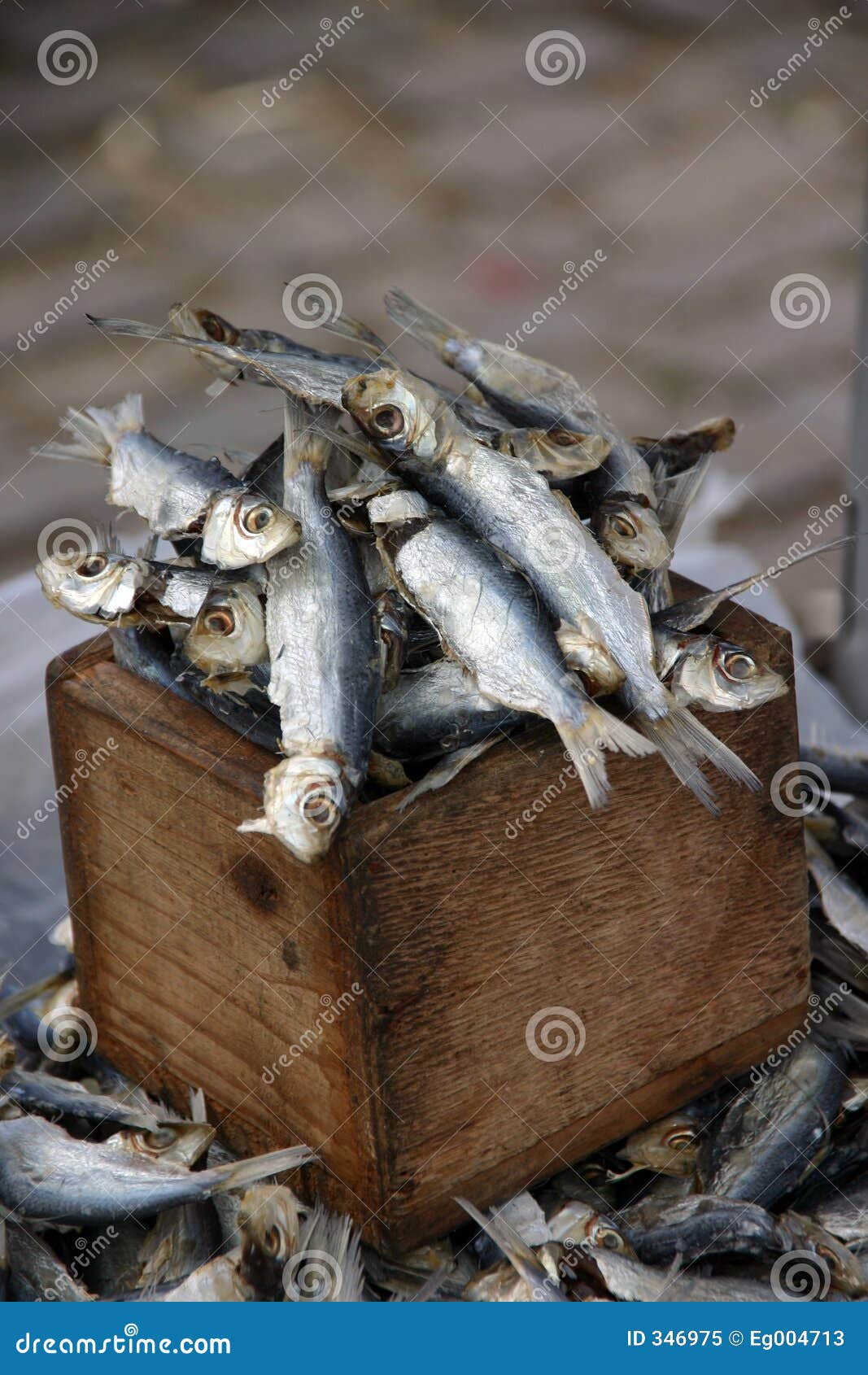Dried Fish stock image. Image of fish, drying, food, dried - 346975