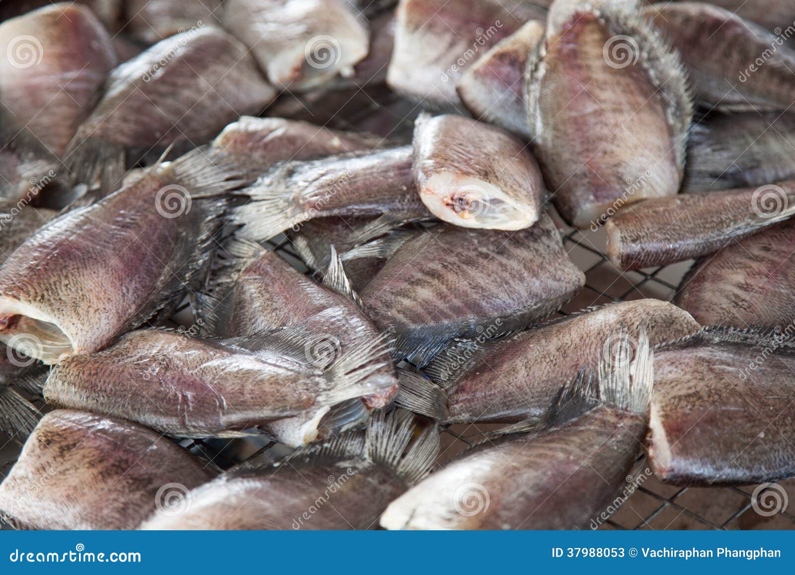 Dried Fish stock image. Image of asian, asia, dead, gourmet - 37988053