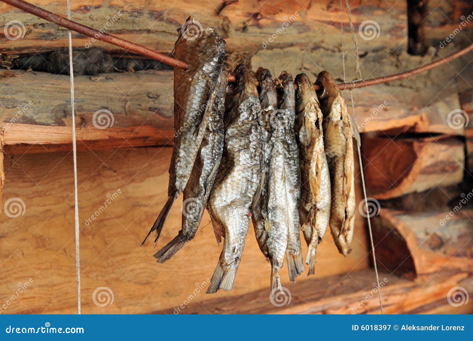 Dried fish stock image. Image of culture, traditional - 6018397