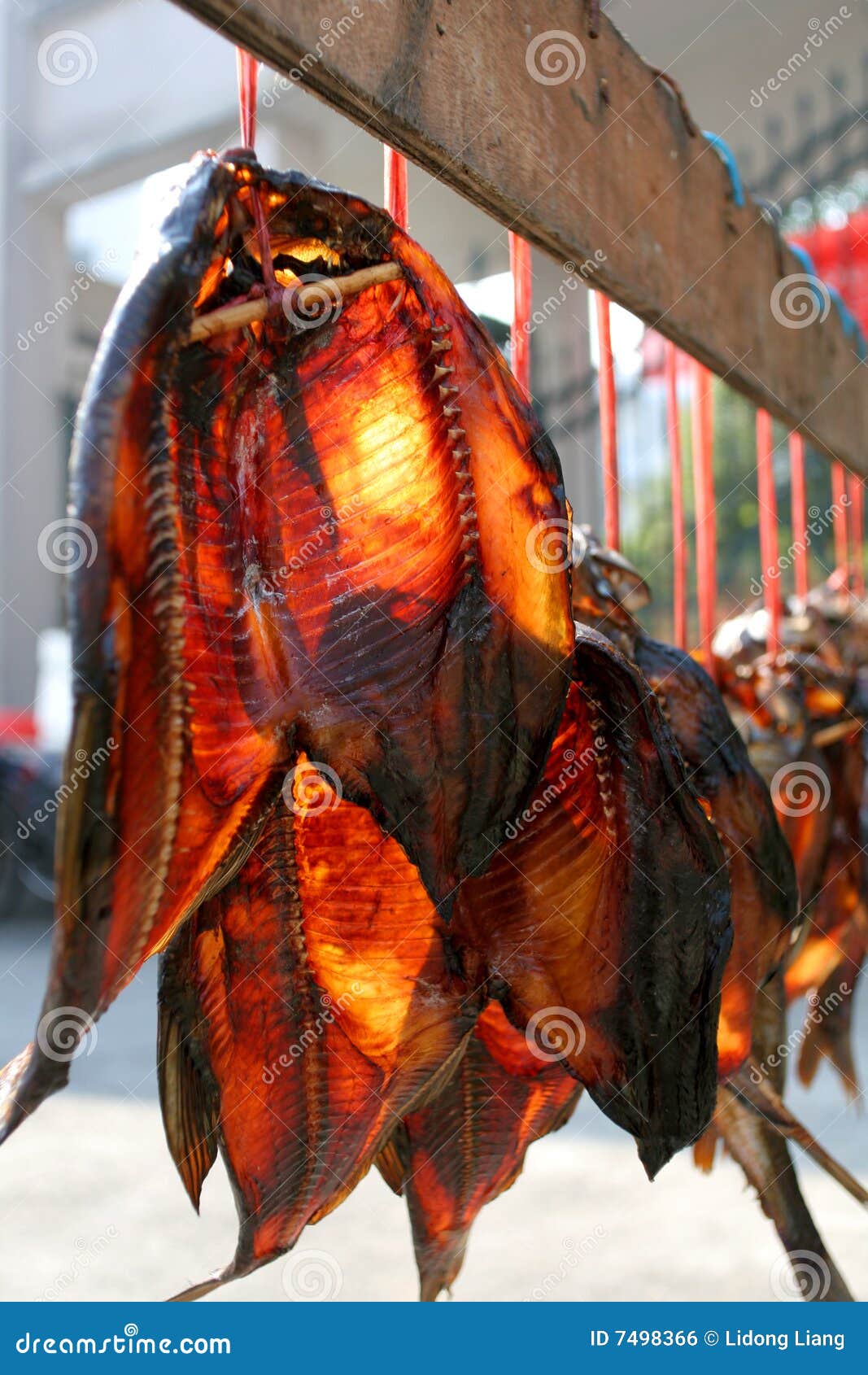 Dried fish stock photo. Image of fishing, seafood, transparent - 7498366