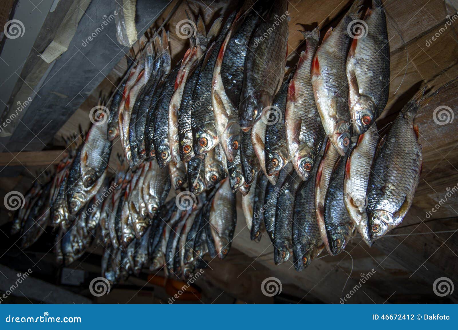 Dried Fish Background Dark Wooden Ceiling Stock Photos - Free & Royalty ...