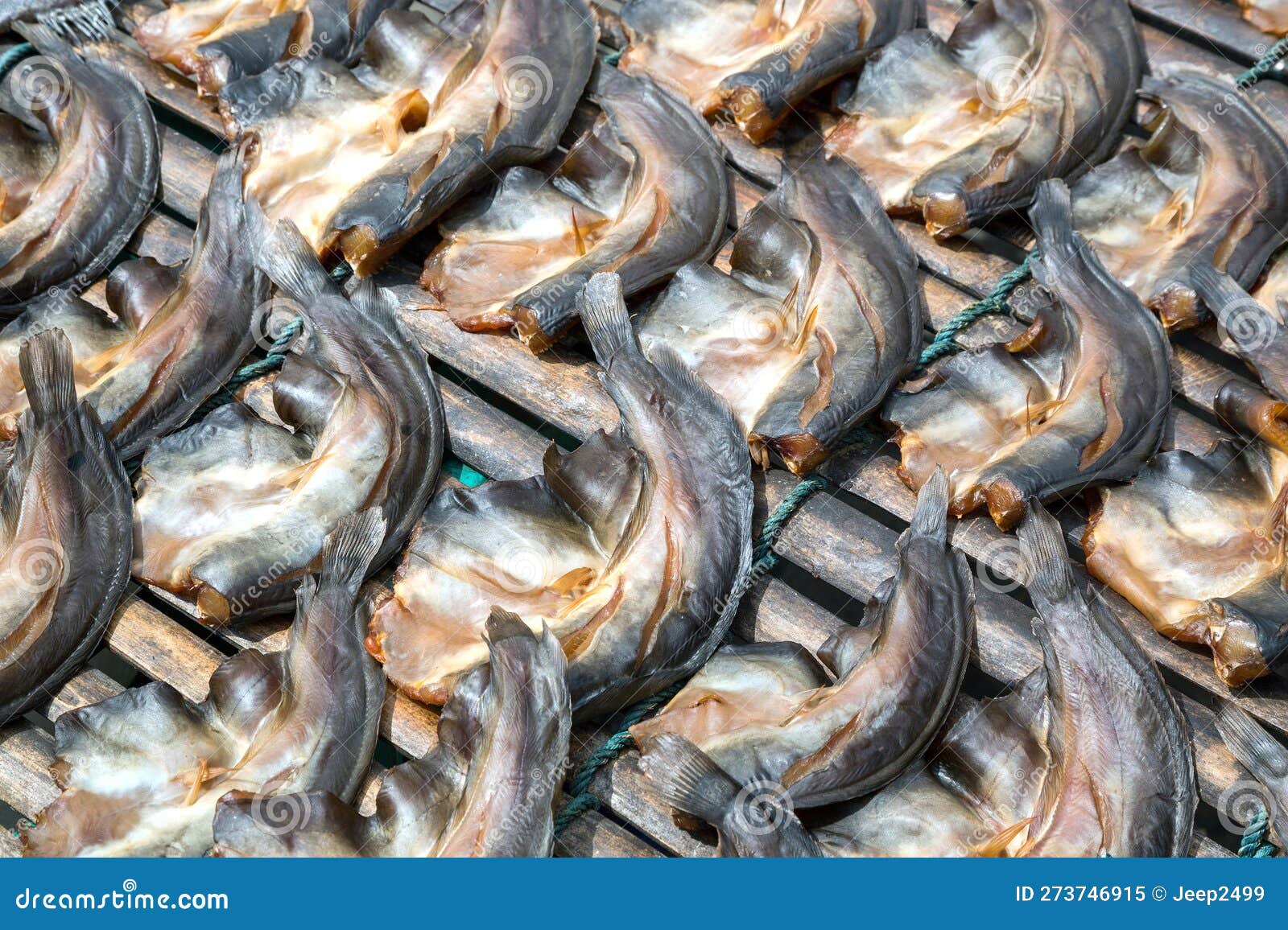 Dried Fish on a Bamboo Panel. Stock Image - Image of catch, fishing ...