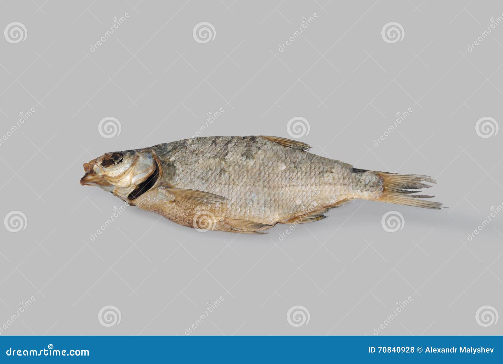 Dried fish bream. stock photo. Image of appetizer, snack - 70840928