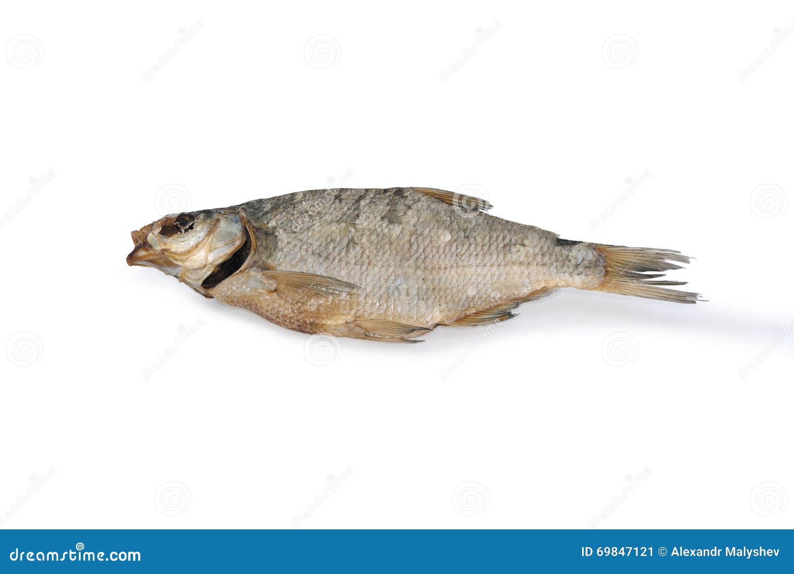 Dried fish bream. stock image. Image of snack, salty - 69847121