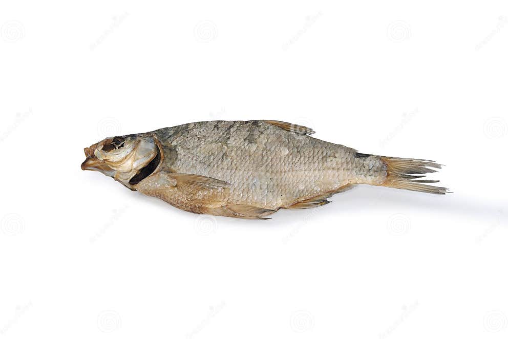 Dried fish bream. stock image. Image of snack, salty - 69847121