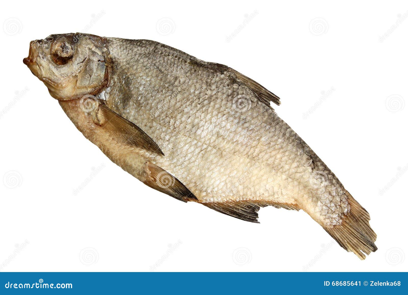 Dried fish - the bream stock image. Image of bass, fishing - 68685641