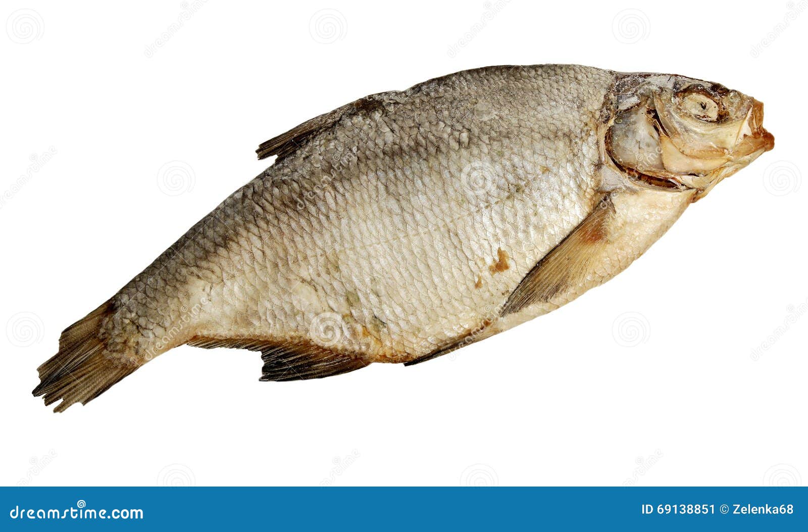 Dried fish - the bream stock image. Image of river, nature - 69138851