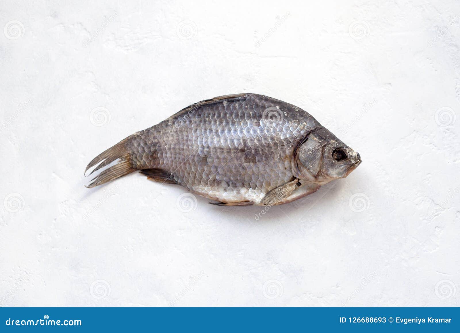 Dried Fish Carp with a Shadow on a White Concrete Background Stock ...