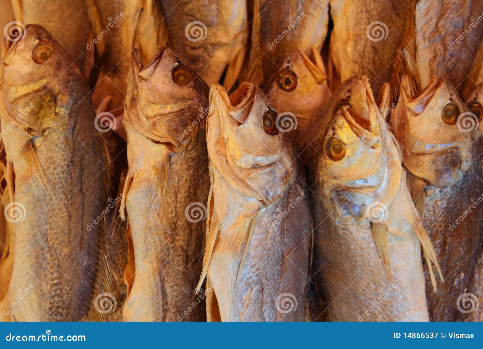 Dried Fish, Chinese Market stock image. Image of seafood - 14866537