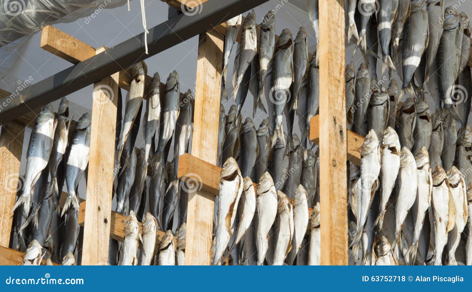 Dried fish detail stock photo. Image of dried, sale, drying - 63752718