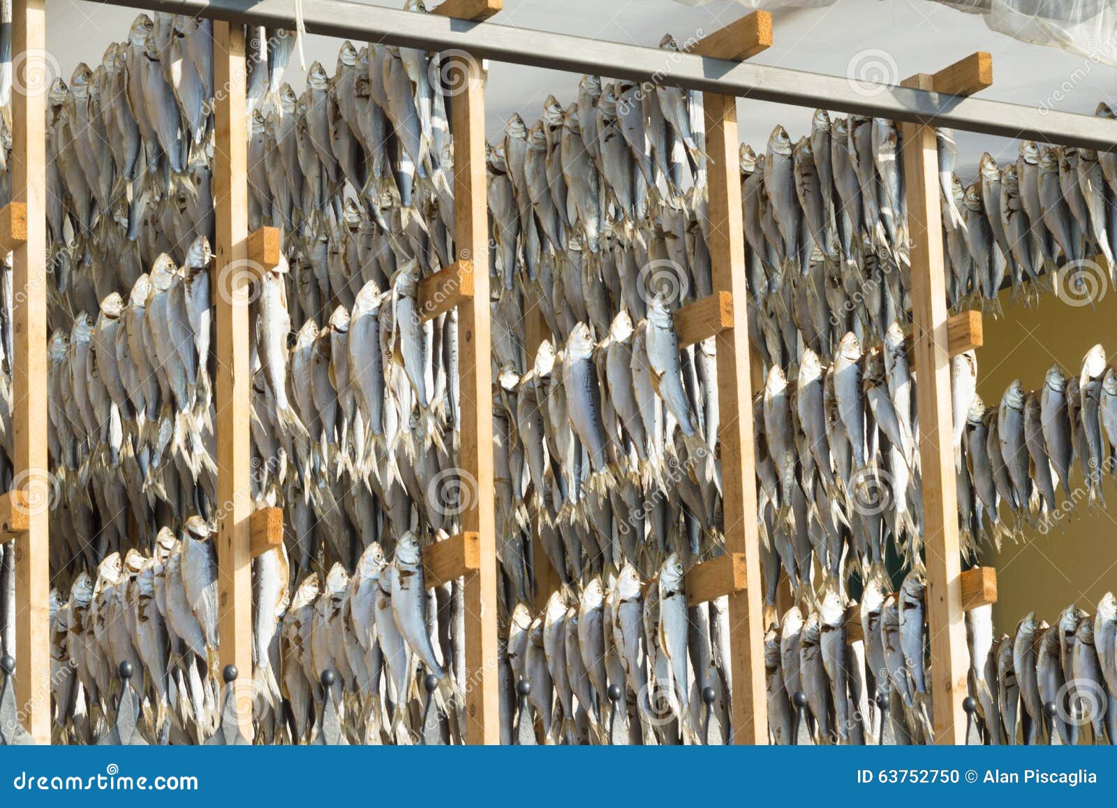 Dried fish detail stock photo. Image of south, asia, food - 63752750
