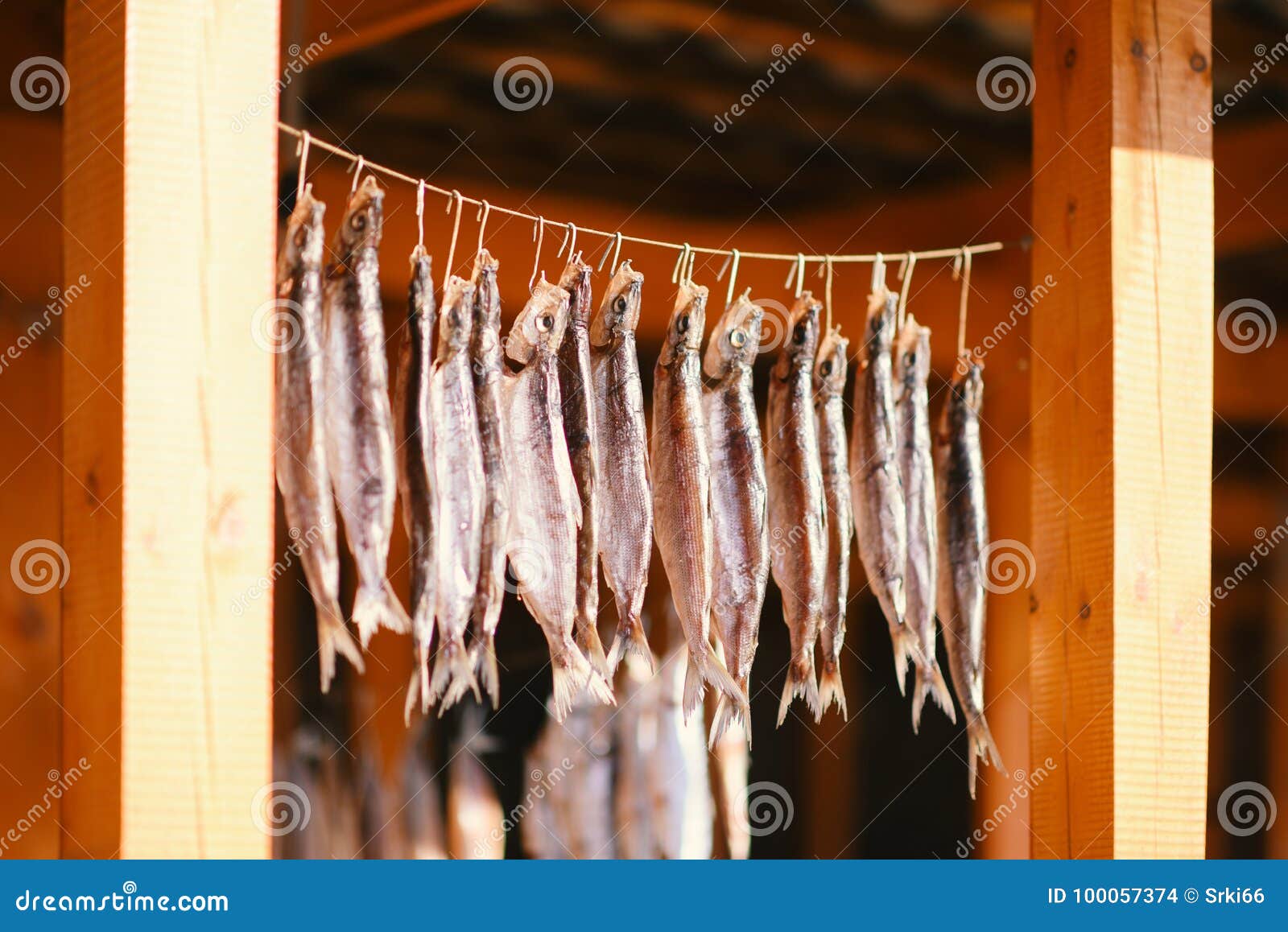 Dried fish stock photo. Image of healthy, food, seafood - 100057374