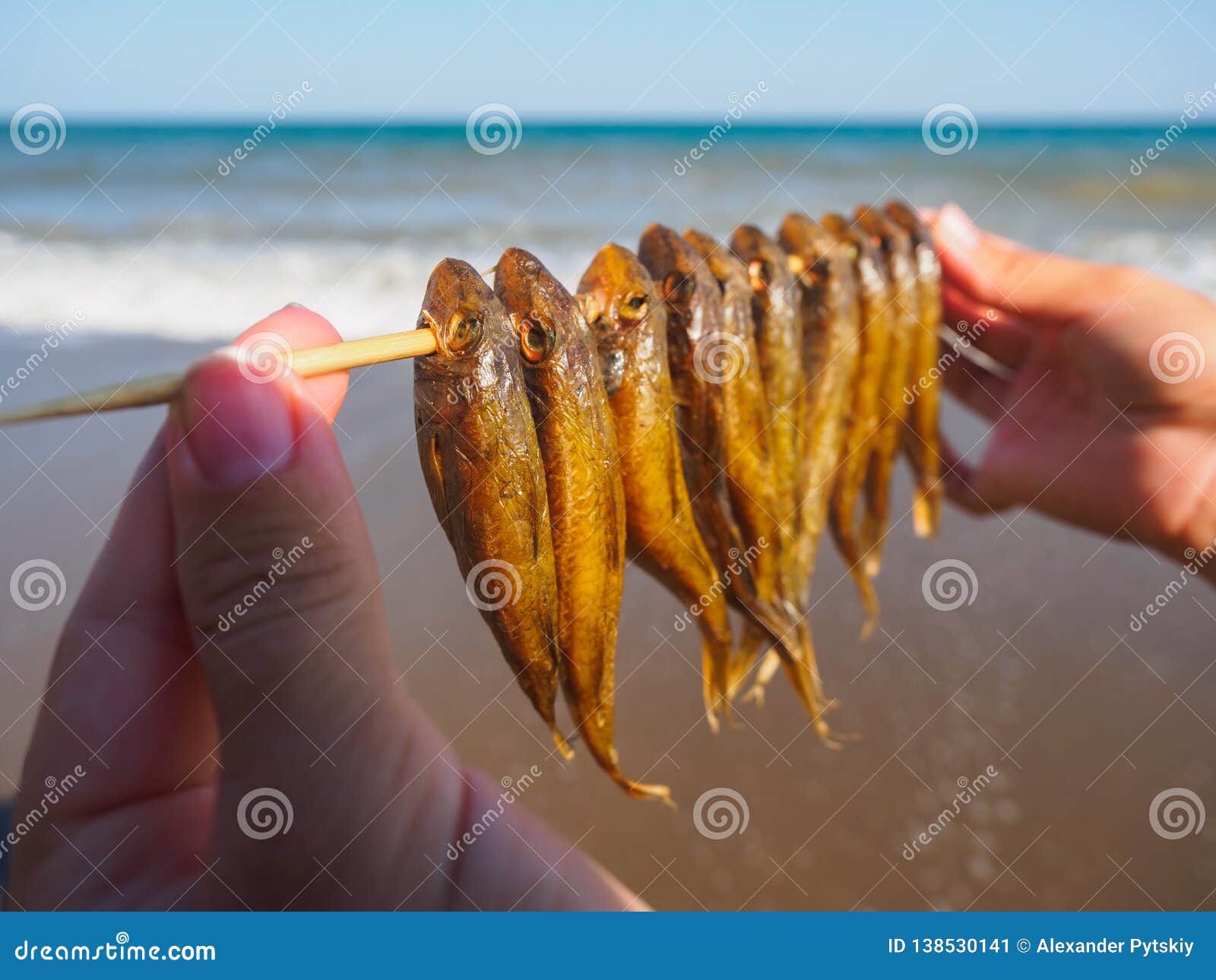 Dried fish stock image. Image of nature, outdoor, landscape - 138530141