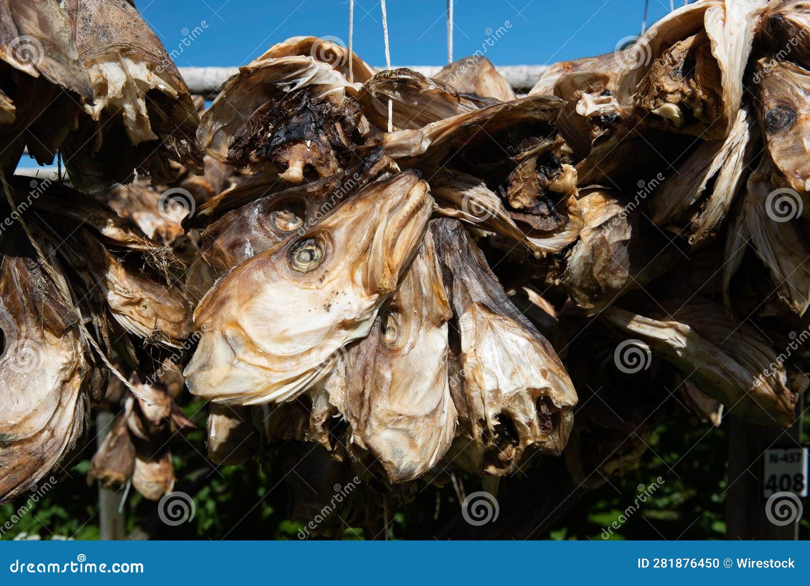 The Dried Fish are Hanging in a Drying Rack for Drying Stock Photo ...