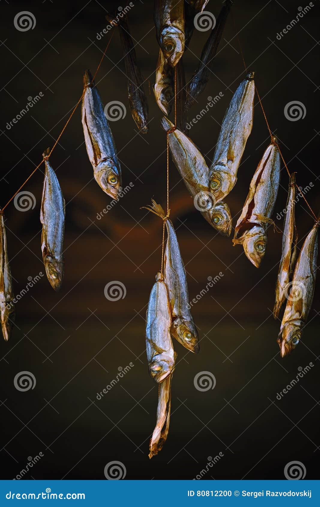 Dried Fish Hanging on Rope stock photo. Image of dietary - 80812200