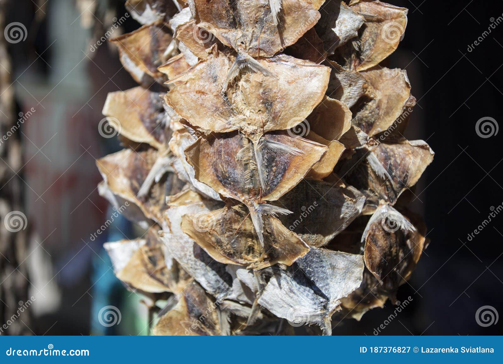 Taranka stock image. Image of regional, russia, cuisine - 187376827