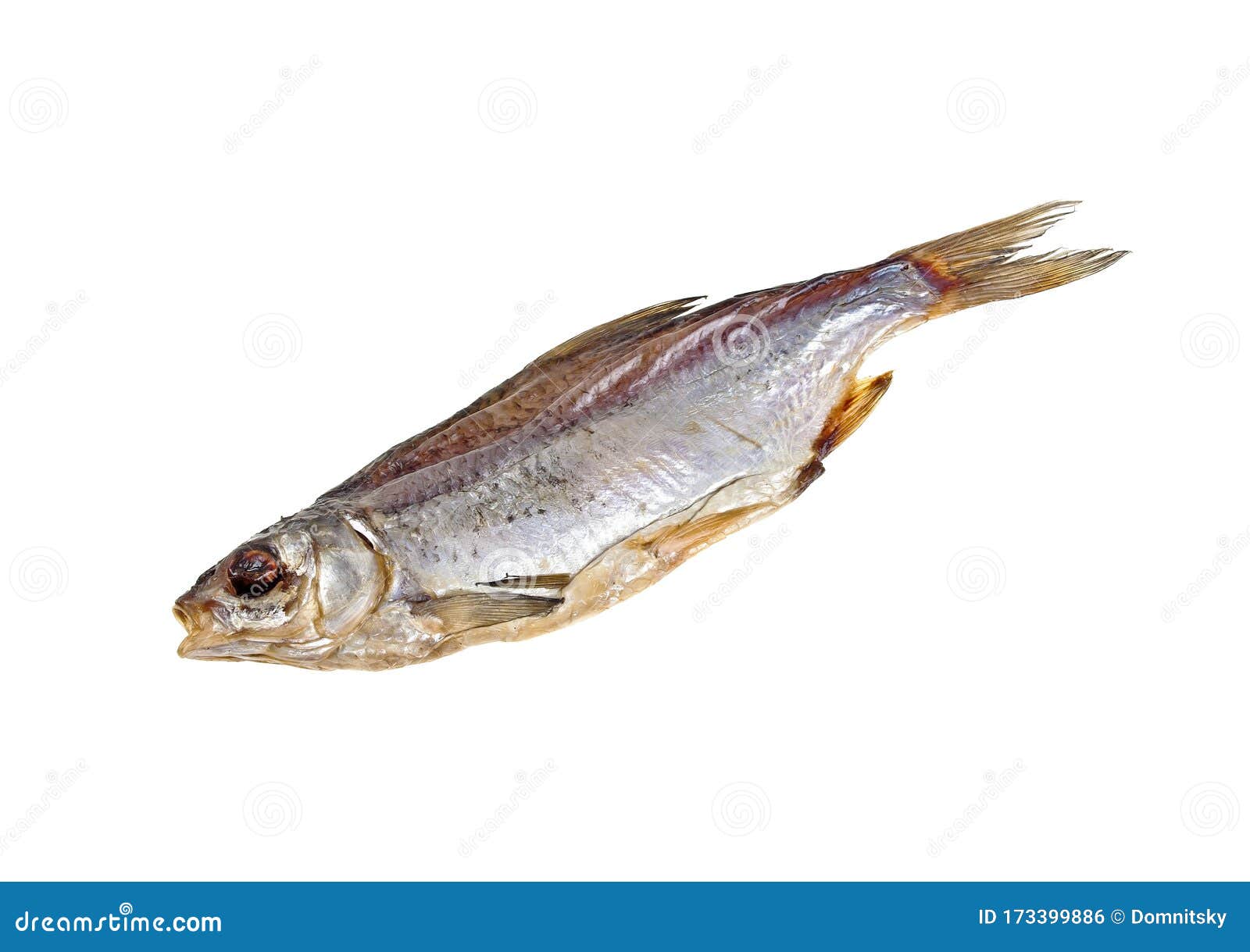 Dried Fish Isolated on White Background Stock Photo - Image of ...