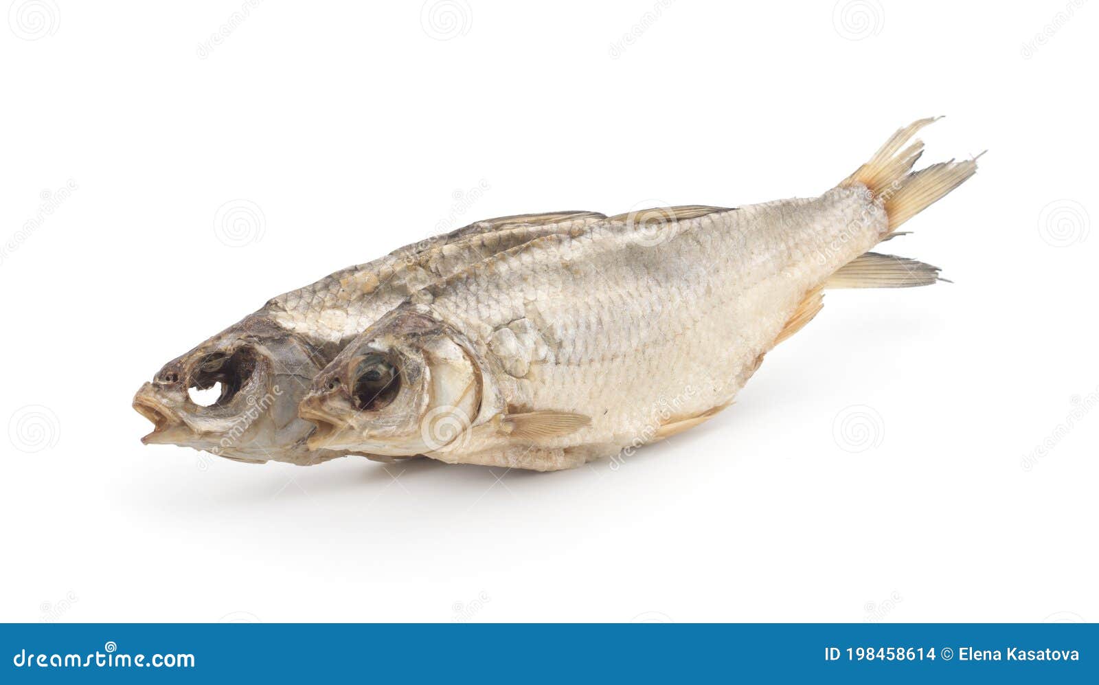 Dried Fish Isolated on White Background Stock Photo - Image of fresh ...