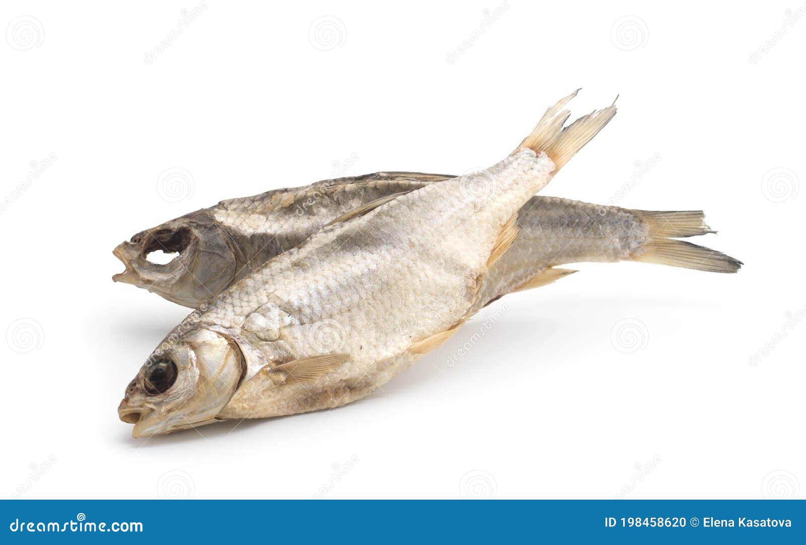 Dried Fish Isolated on White Background Stock Photo - Image of meat ...