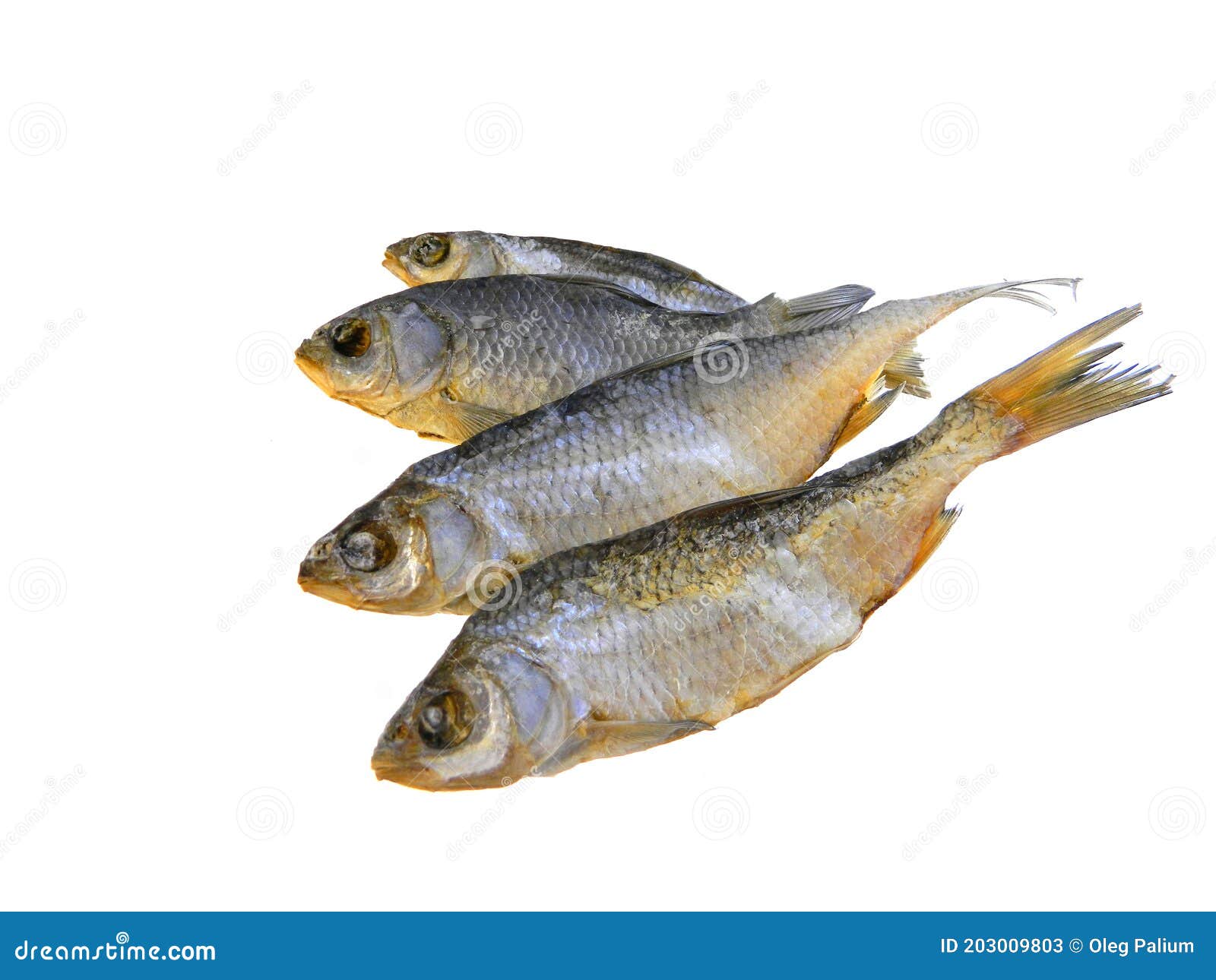 Dried Fish Isolated on White Background Stock Image - Image of meat ...