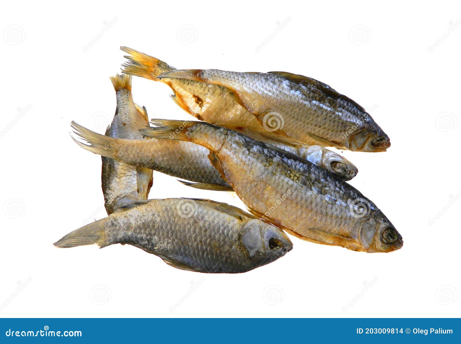 Dried Fish Isolated on White Background Stock Photo - Image of river ...