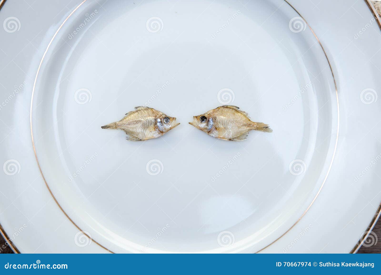 Dried Fish Isolated on White Background Stock Photo - Image of fishes ...