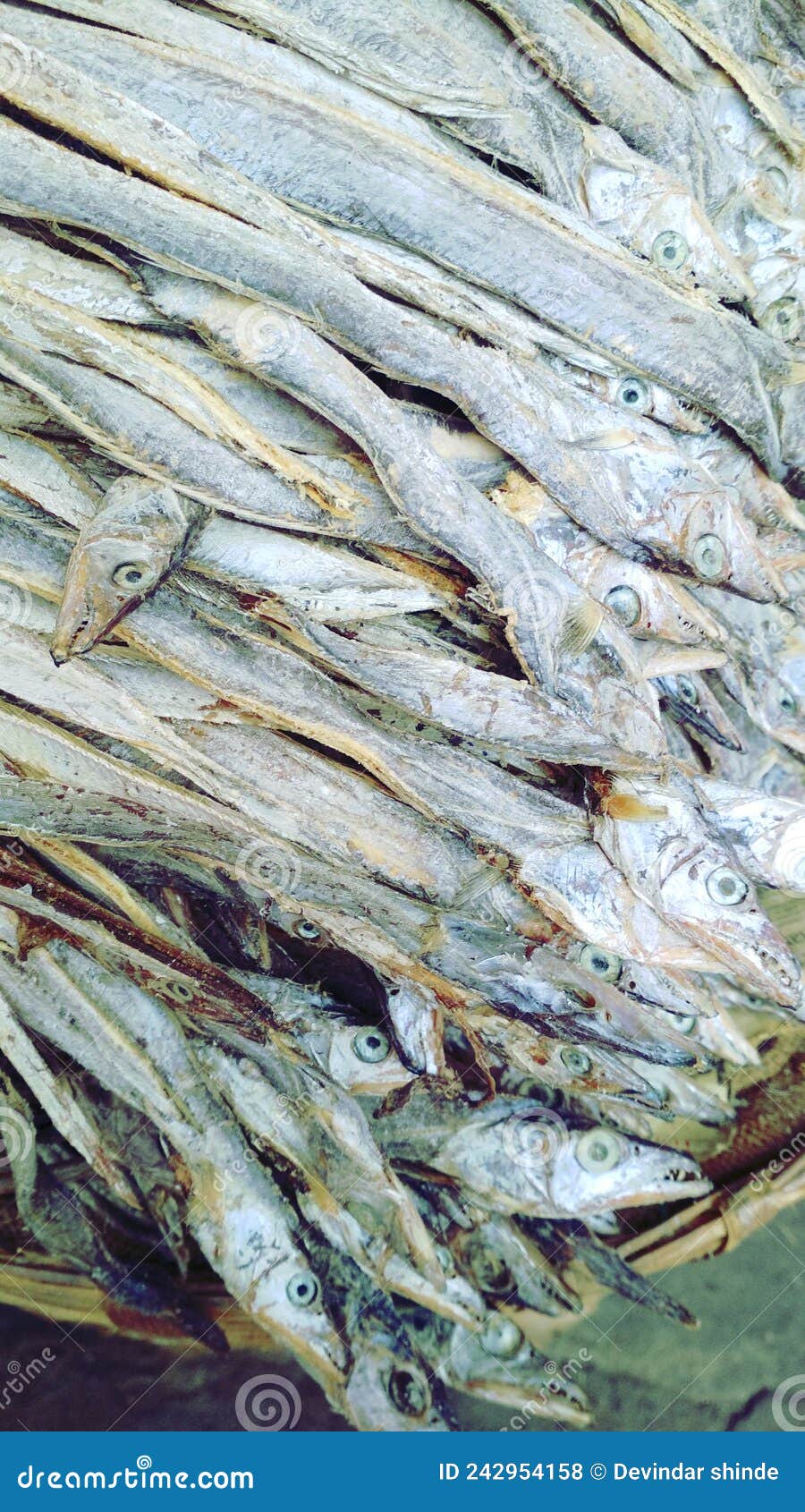 Dried fish long size stock photo. Image of wood, seafood - 242954158