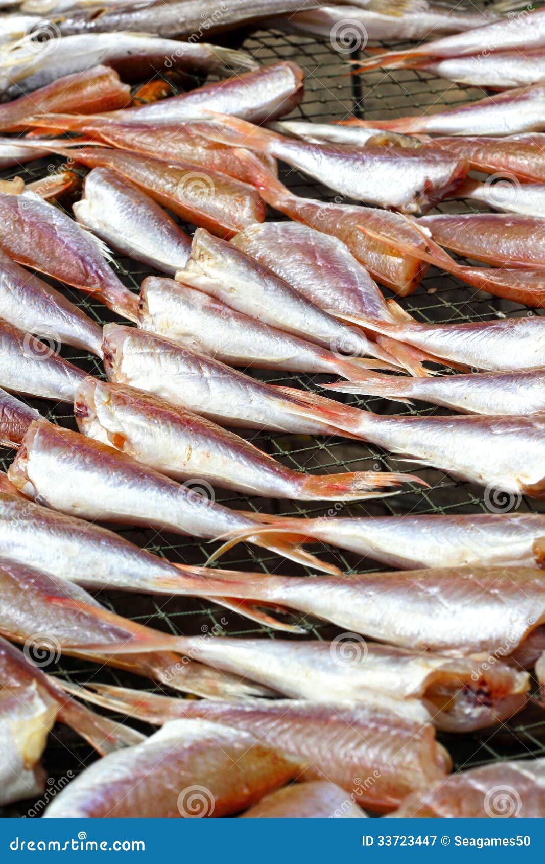 Dried fish in the market. stock image. Image of delicious - 33723447