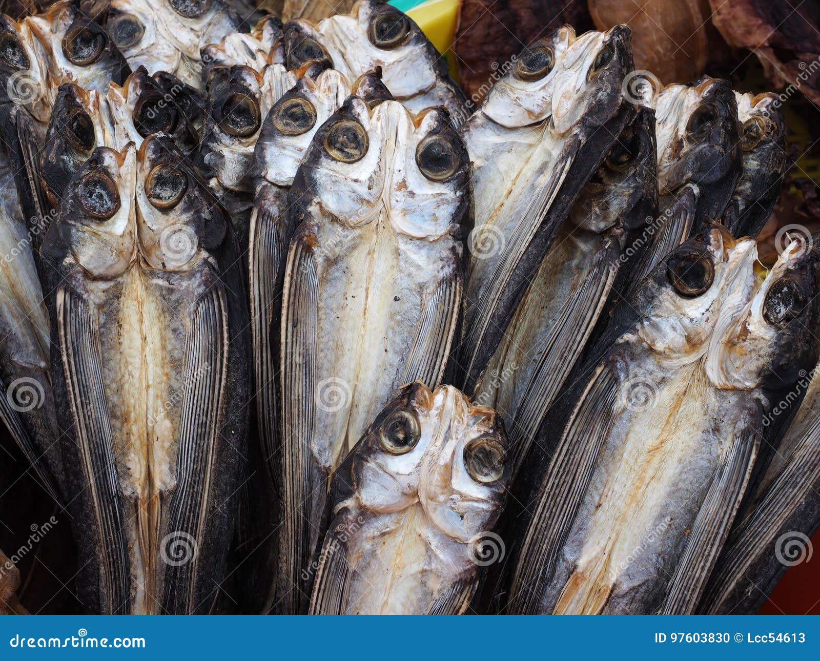 Dried fish stock photo. Image of prepared, natural, snack - 97603830