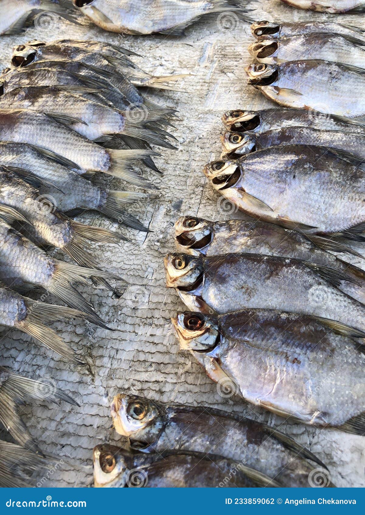Dried fish on the market stock photo. Image of autumn - 233859062
