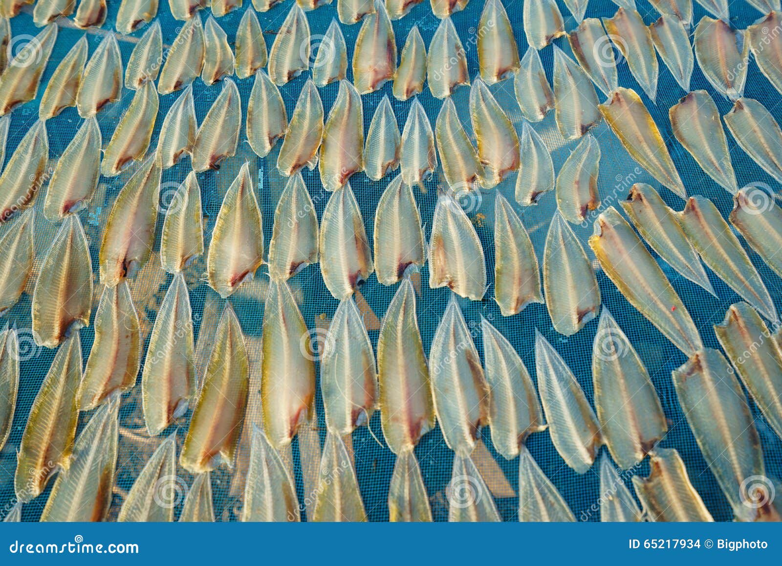 Dried fish on the net stock photo. Image of industry - 65217934