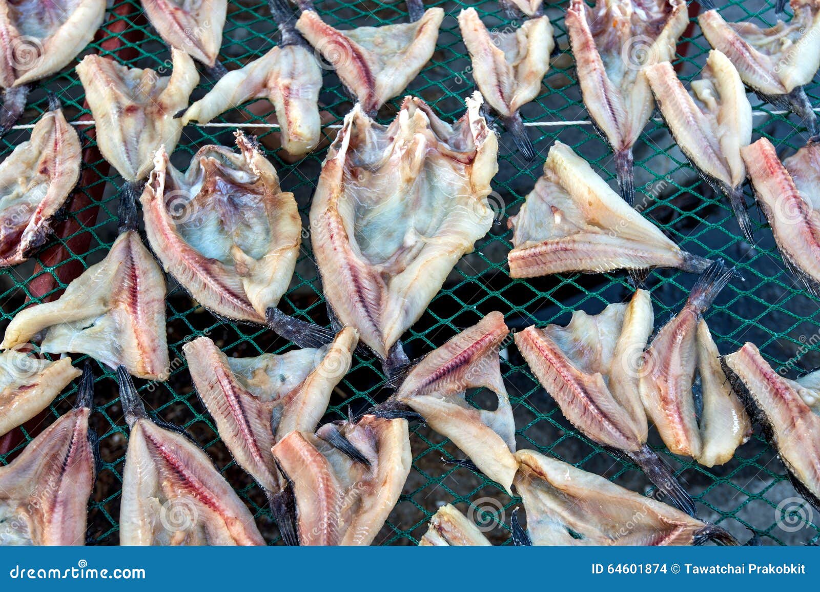 Dried Fish on the net. stock photo. Image of snack, stone - 64601874