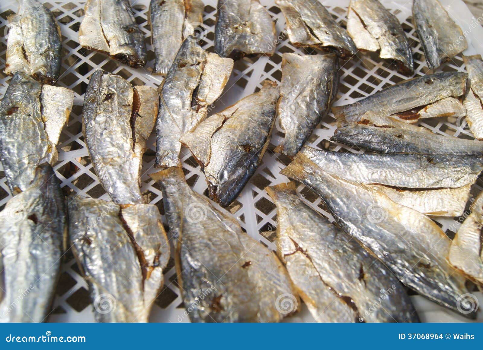 Dried fish stock photo. Image of fish, dried, cargo, still - 37068964