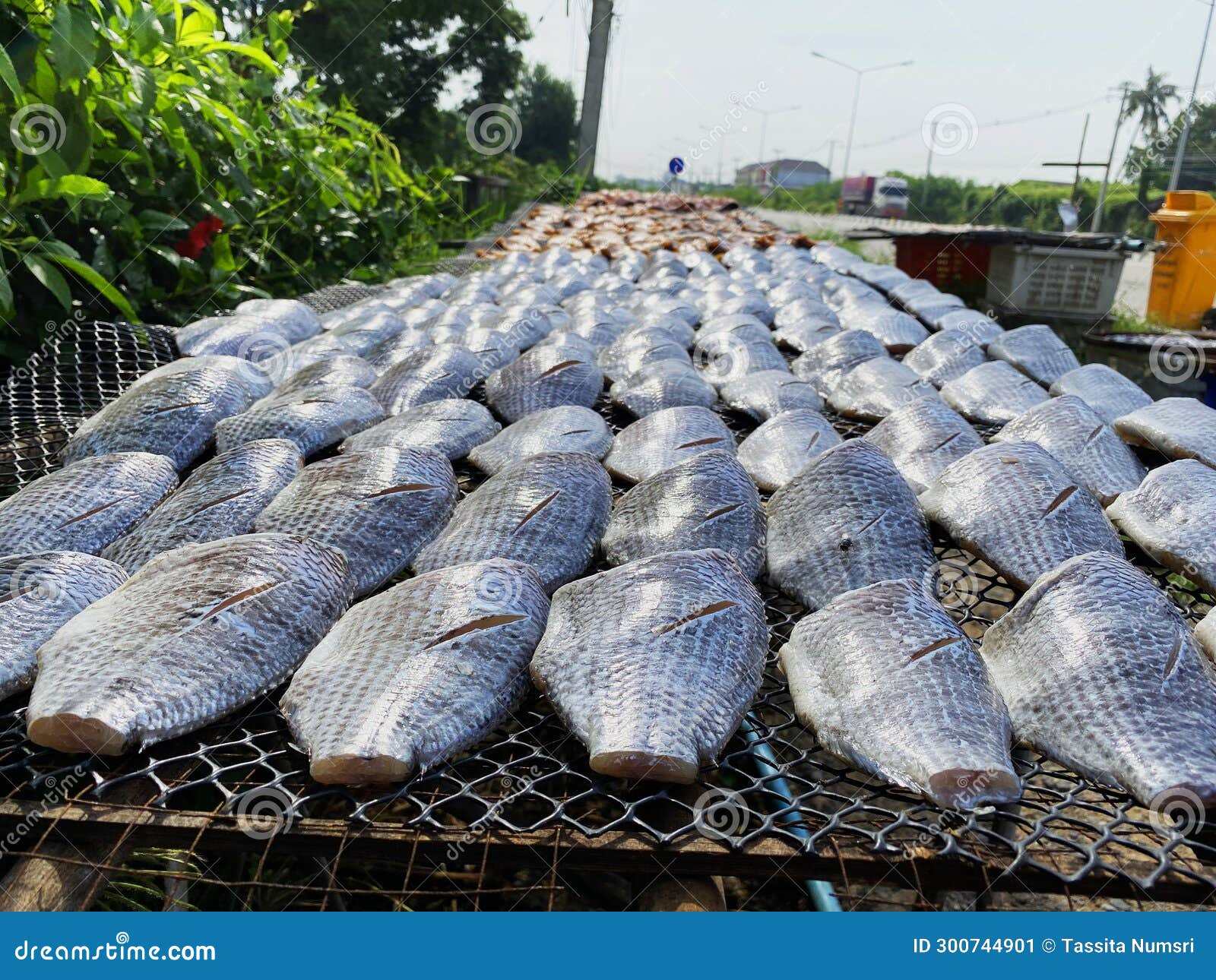 Dried Fish, that is Processed Using Traditional Preservation Techniques ...