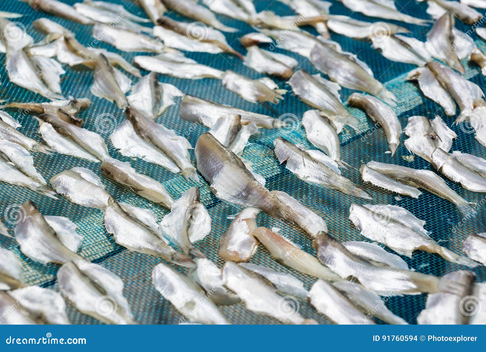 Dried fish stock photo. Image of fishing, animal, chef - 91760594