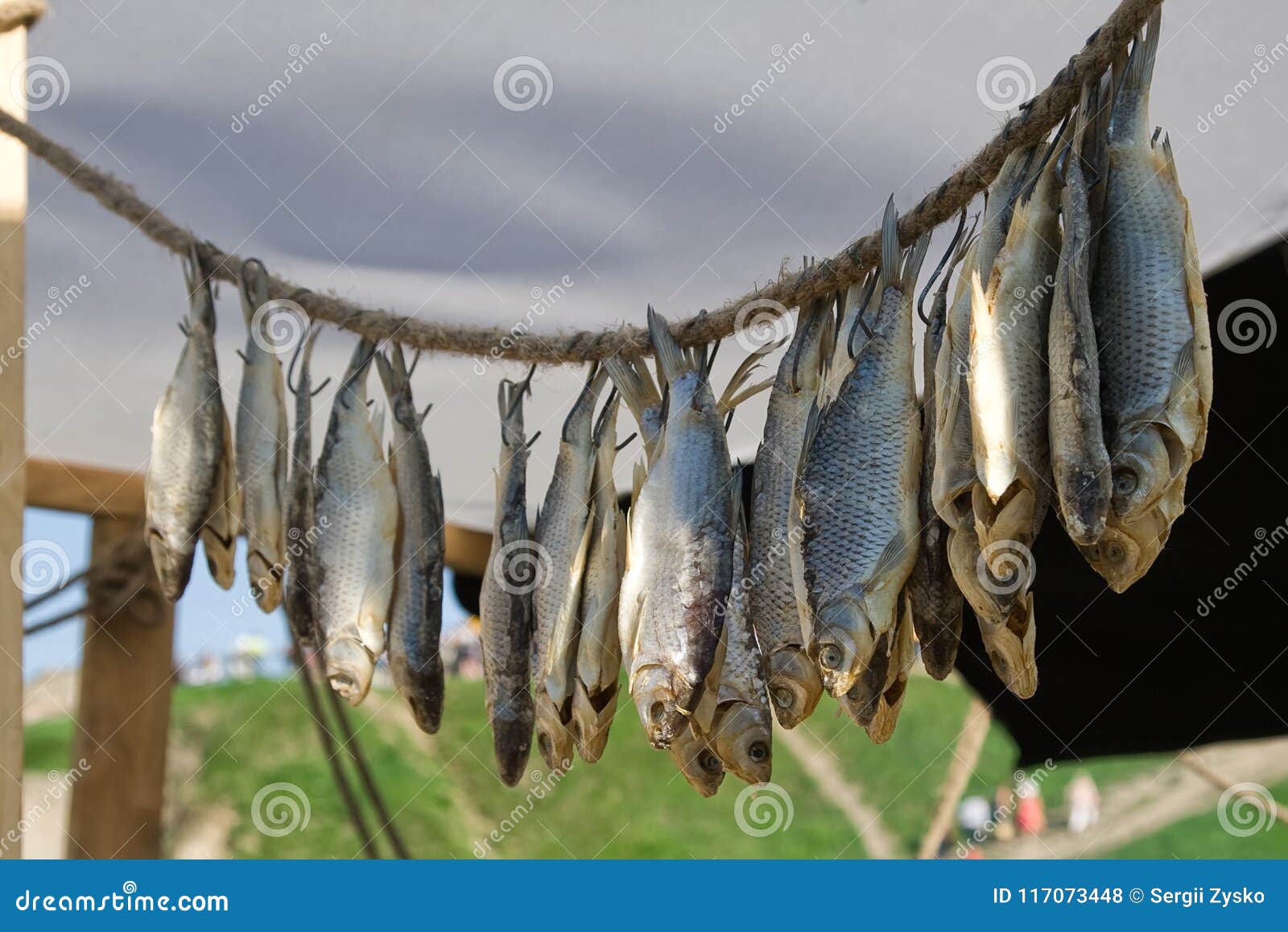 Dried fish on a rope stock photo. Image of close, market - 117073448