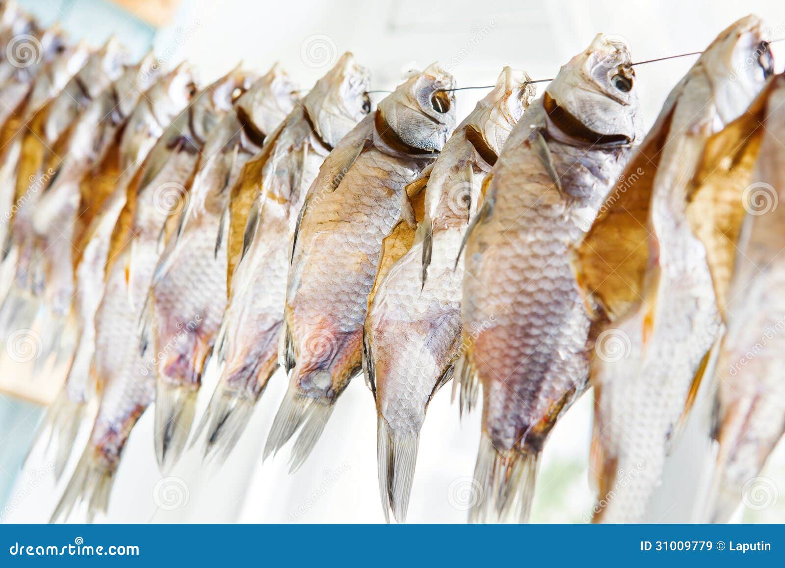 Dried fish stock image. Image of salt, death, silver - 31009779