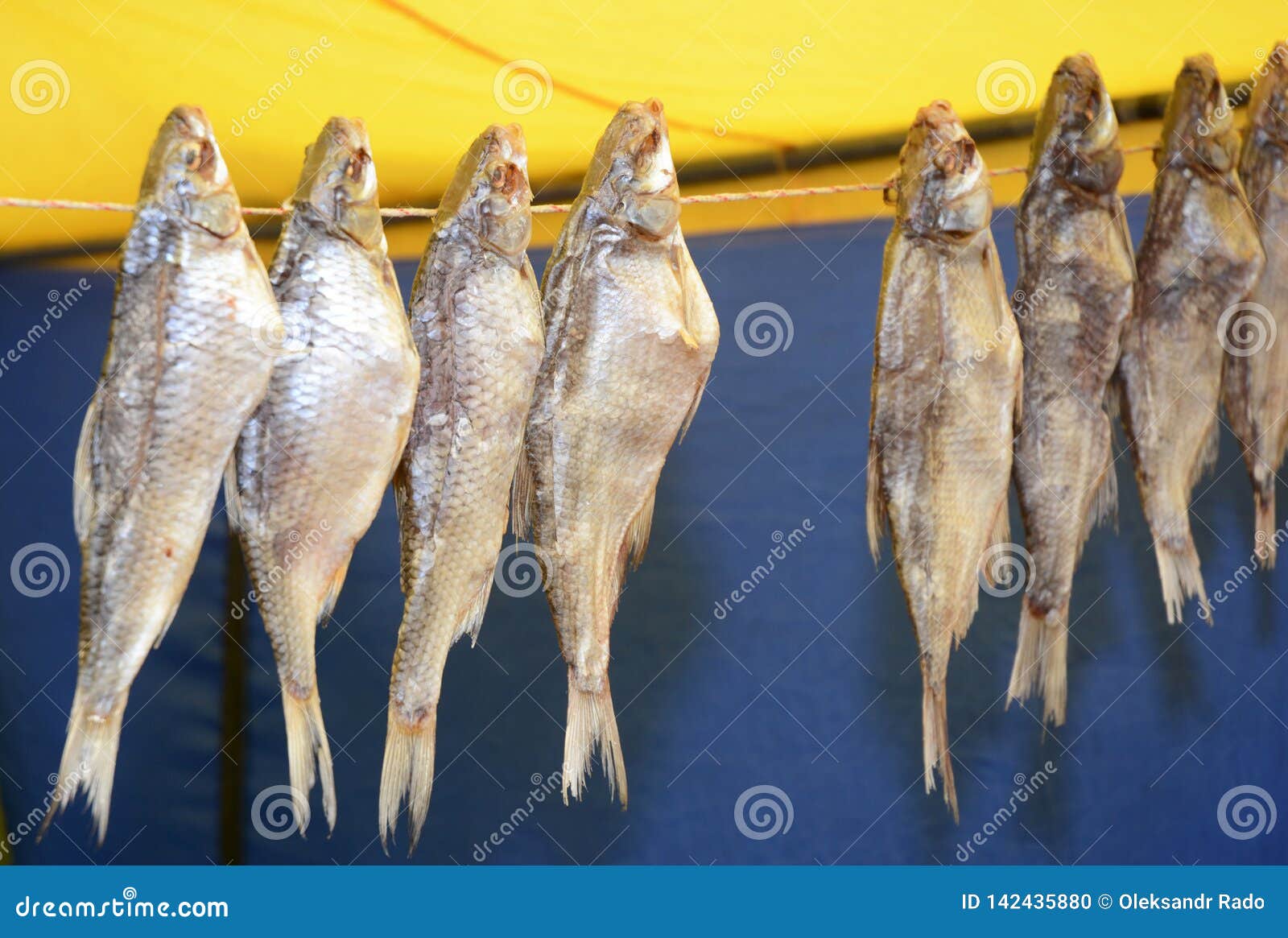 Dried Fish on a Rope for Sale - Image Stock Photo - Image of fishing ...