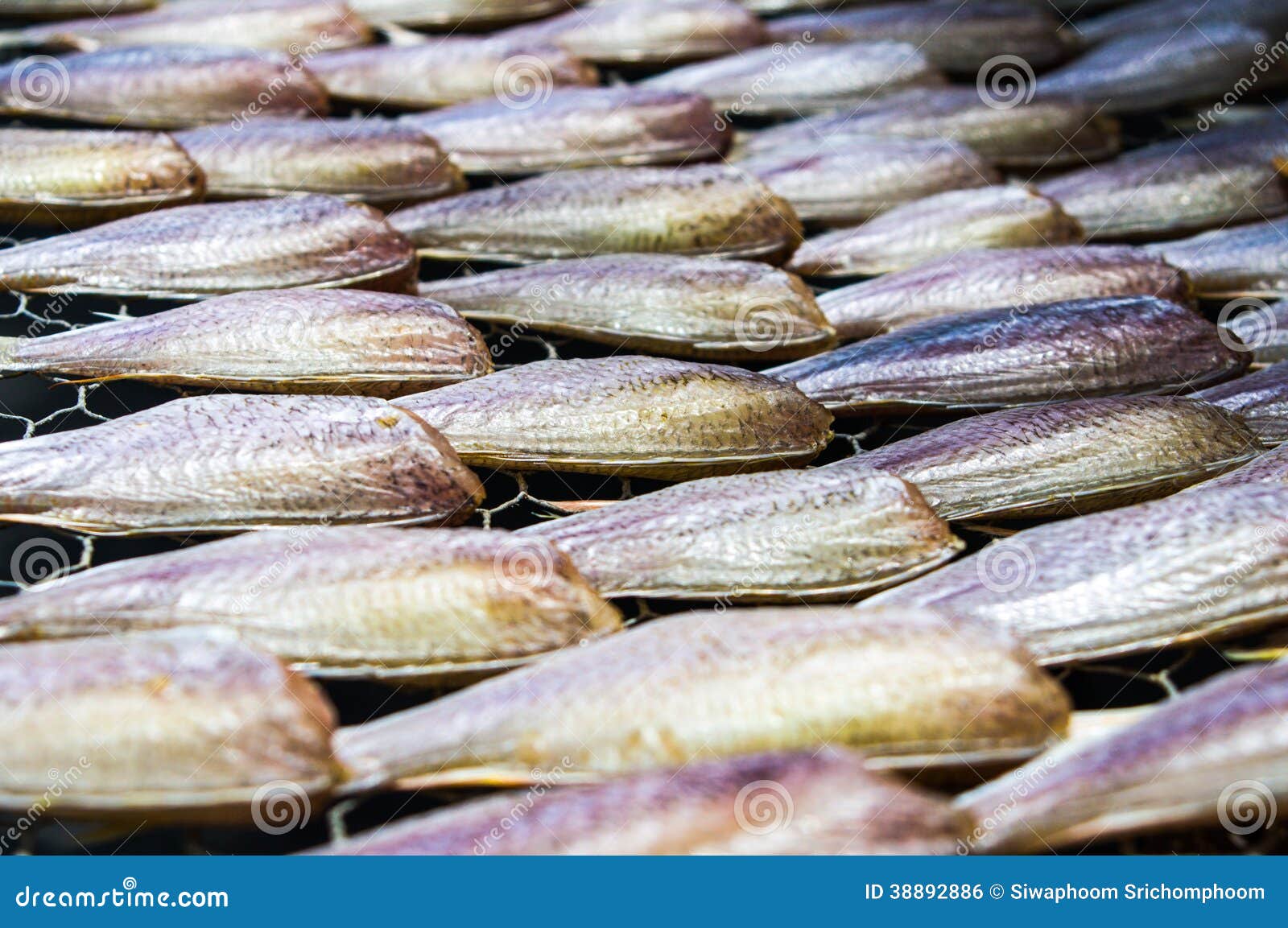 Dried fish in row stock photo. Image of market, asian - 38892886