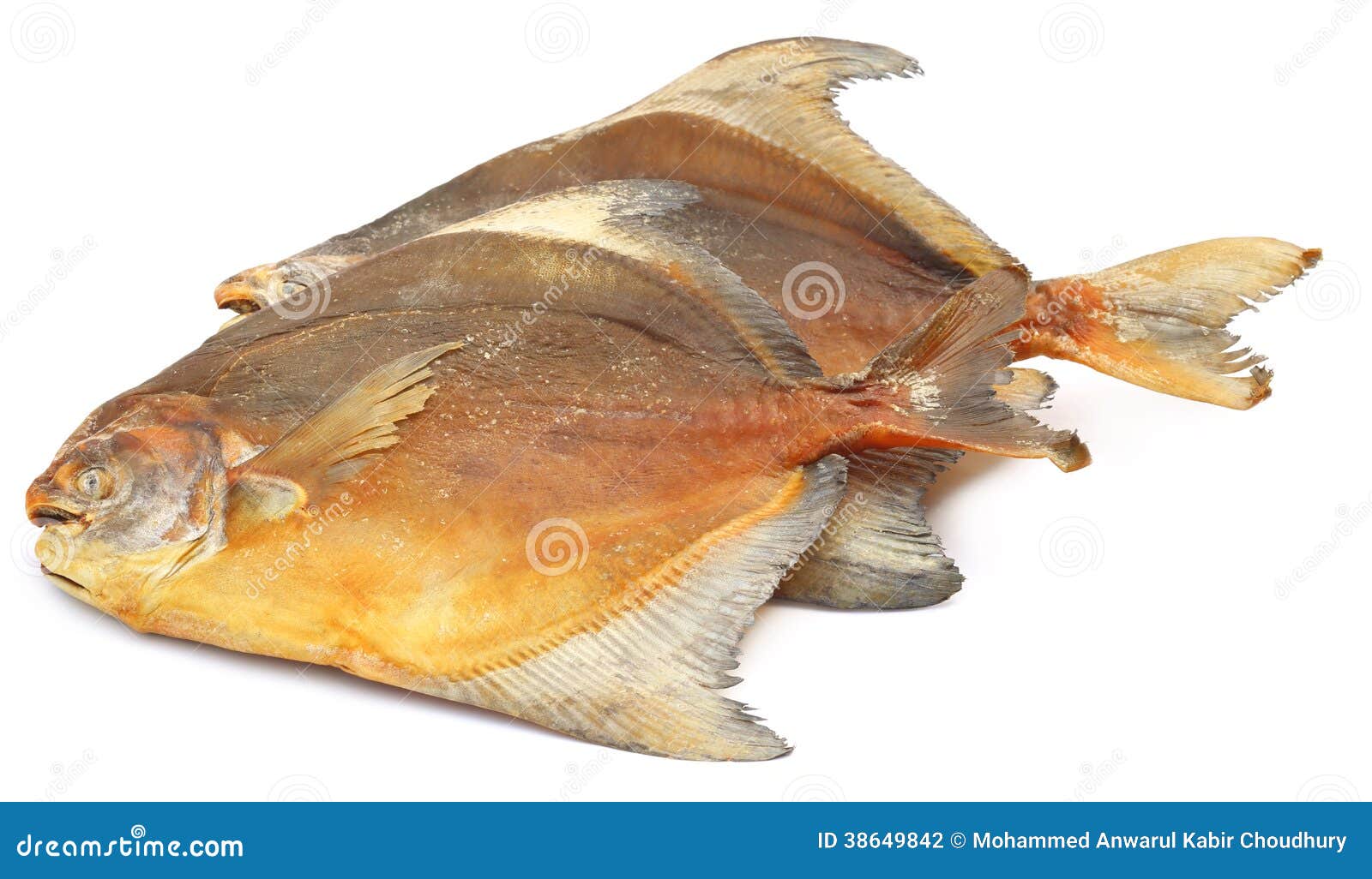 Dried fish Rup chanda stock photo. Image of saline, white - 38649842