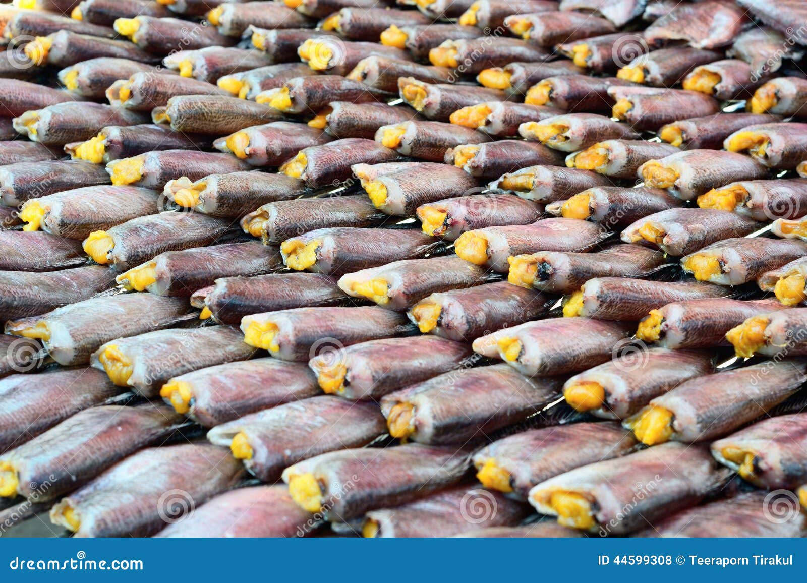 Dried Fish stock photo. Image of horizontal, thai, barn - 44599308